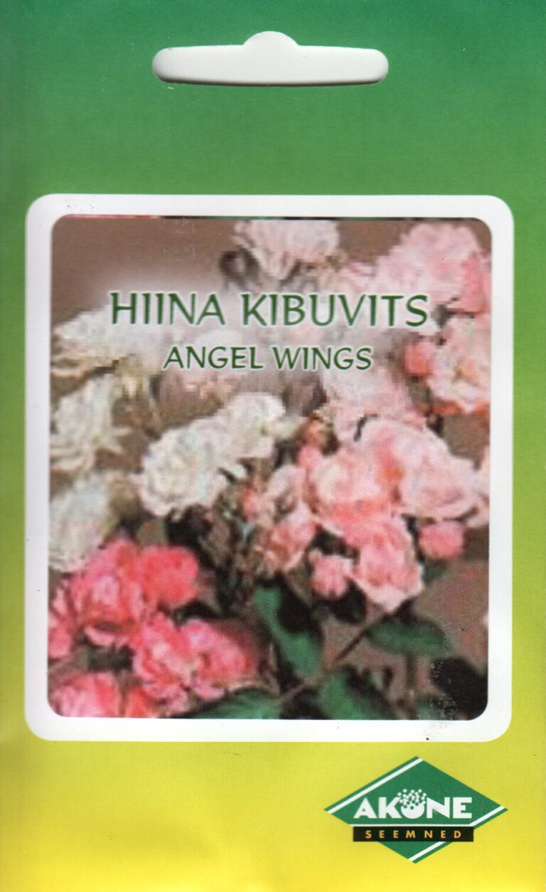 Hiina kibuvits Angel Wings - Põlde talu koduaed