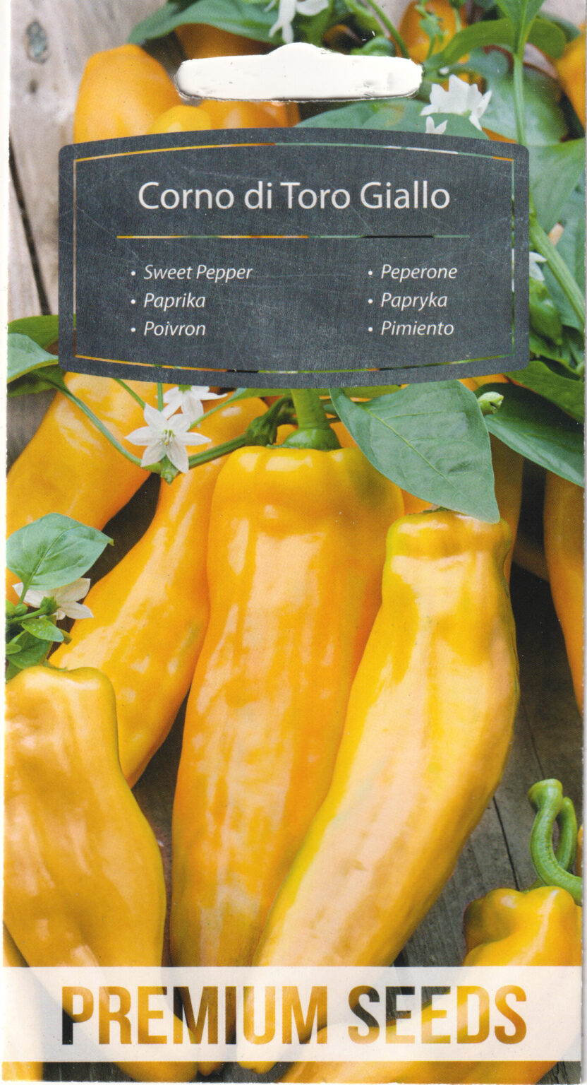 Paprika Corno Di Toro Giallo - Põlde talu koduaed